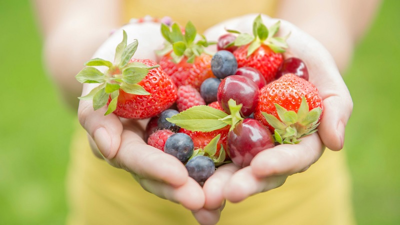 Los hábitos más saludables para nuestro organismo - Grupo Scanner Vizcaya